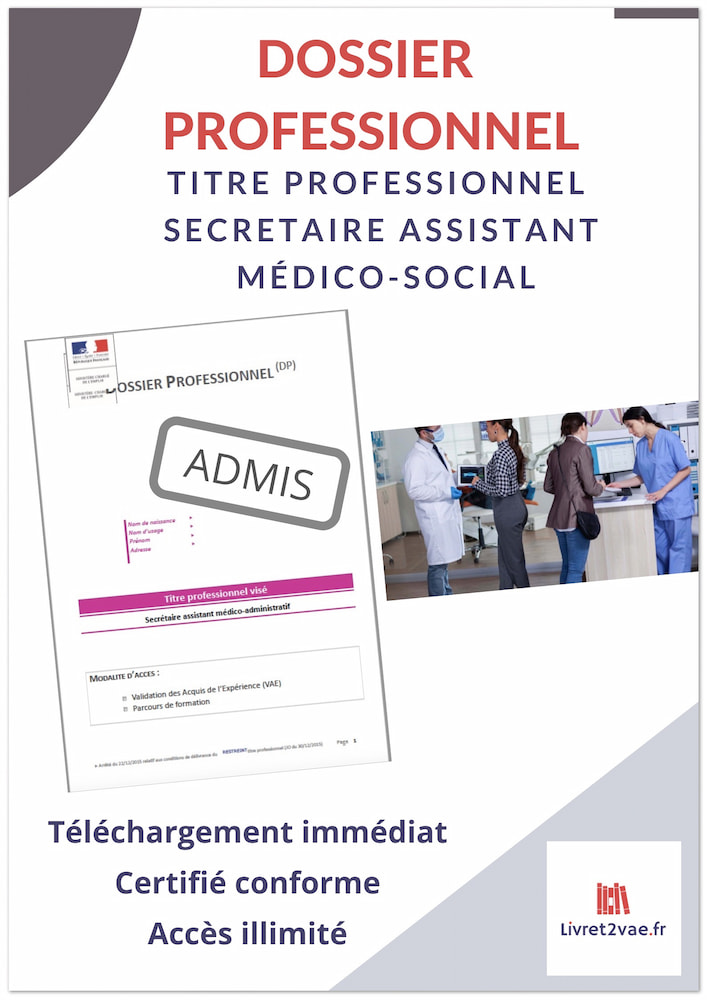 Exemple De Dossier Professionnel Rempli Dossier Profe - vrogue.co Exemple De Dossier Professionnel Rempli Dossier Profe - vrogue.co